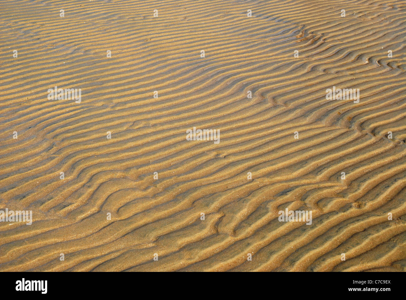 ripples in wet sand caused by outgoing tide, Florence Bay, Magnetic ...