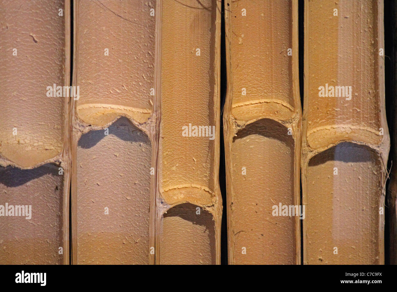 Cut bamboo hi-res stock photography and images - Alamy