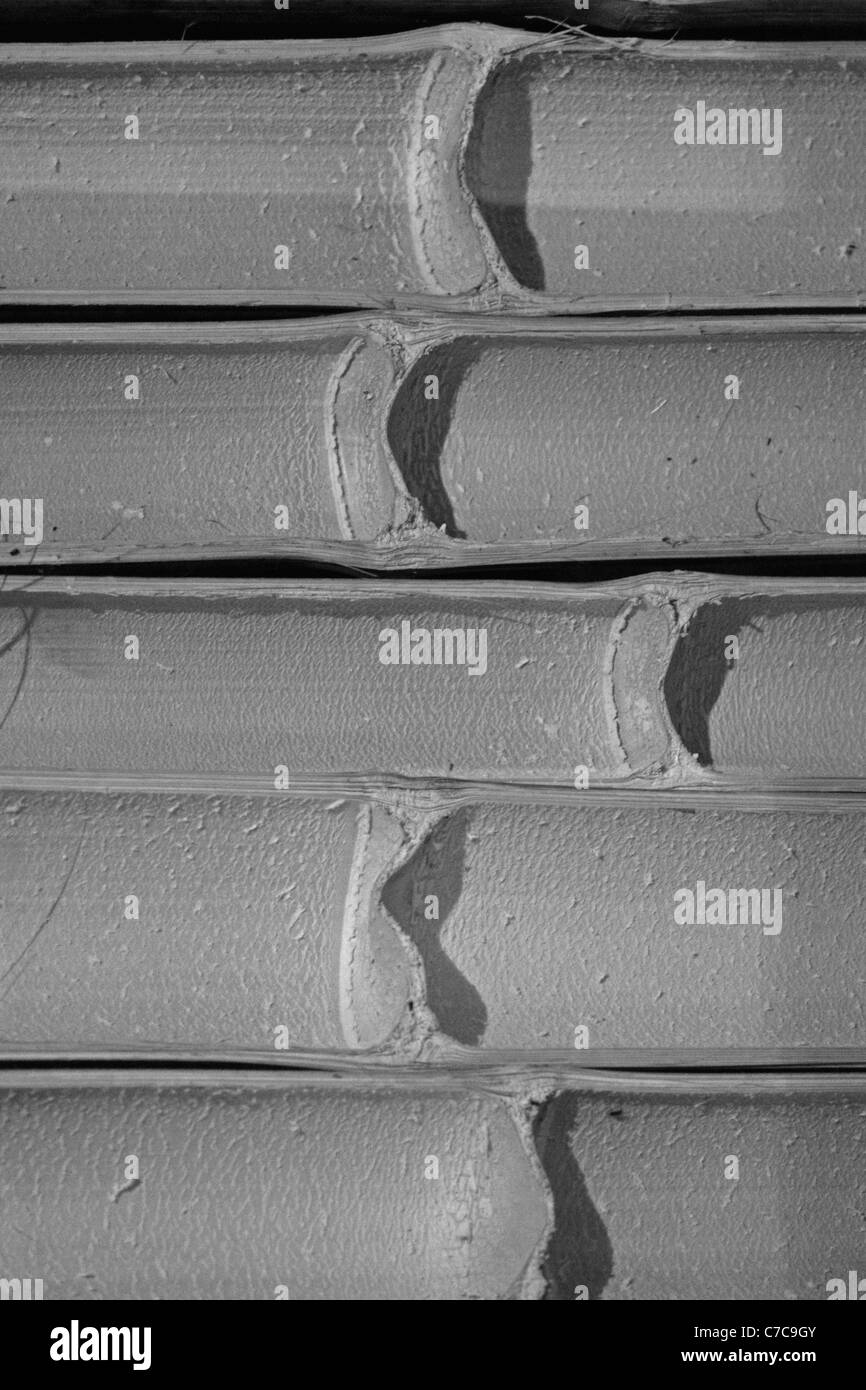 Bamboo Section, Half Cut, India Stock Photo - Alamy