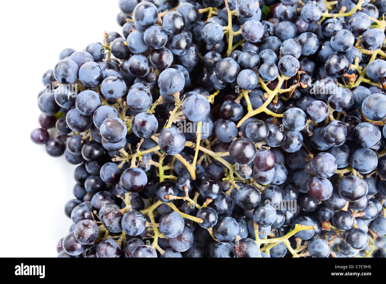The Isabella grape is a cultivar derived ,is used for table, juice and ...