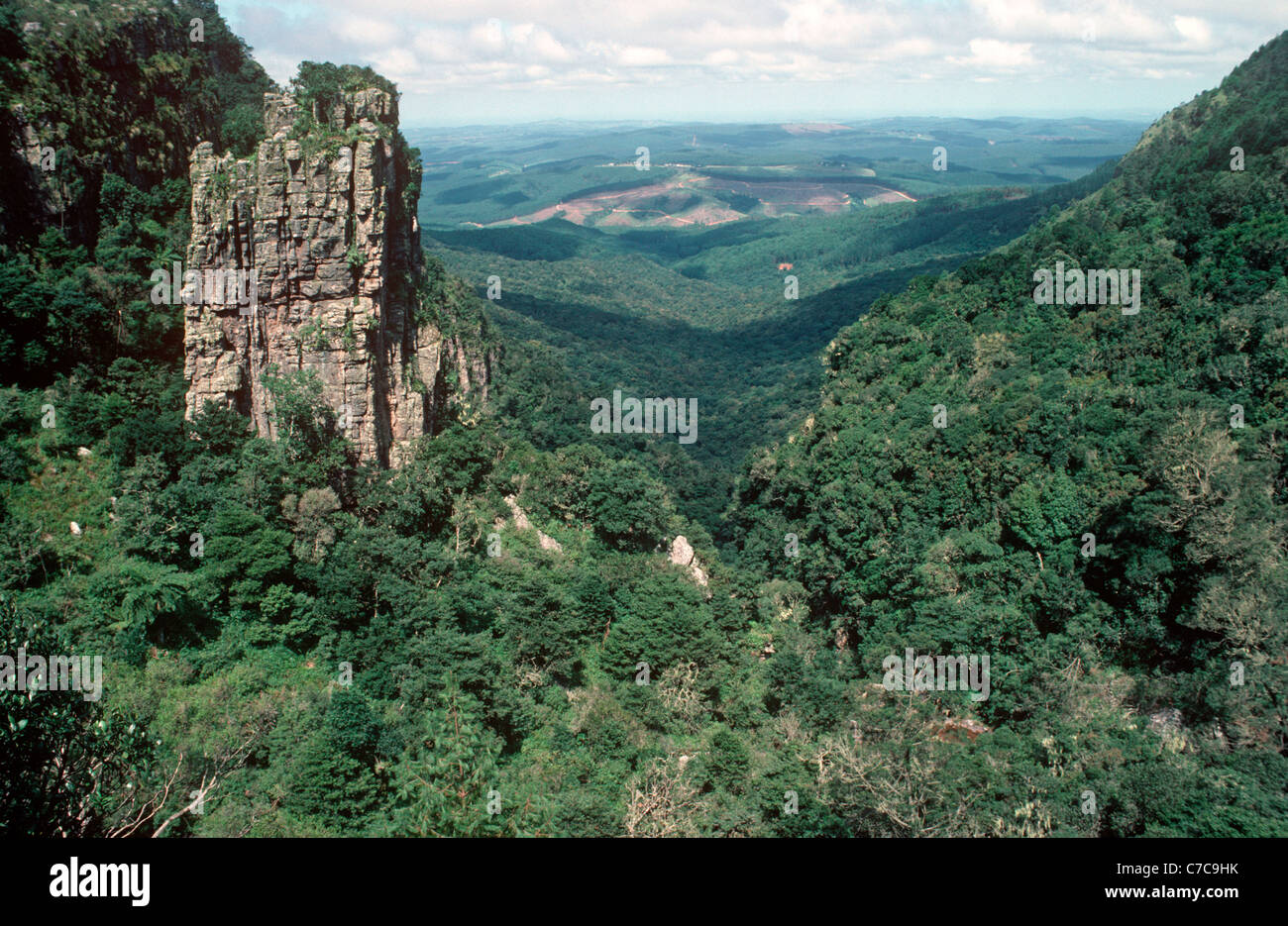 Pinnacle Rock in the high veld in the Drakensberg Mountains, South ...