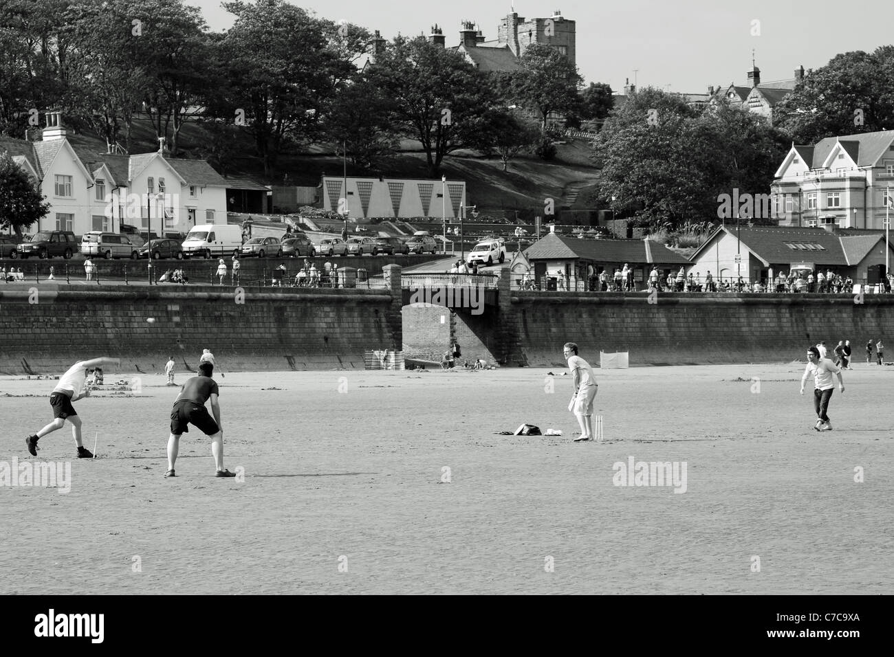 the beach cricket match Stock Photo - Alamy