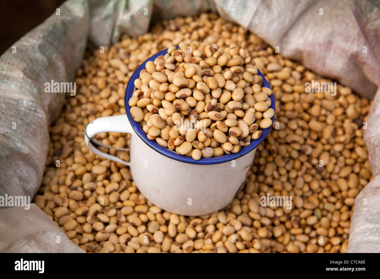 India, Nagaland, Mon, lobia, black-eyed beans measured in tin cup for ...