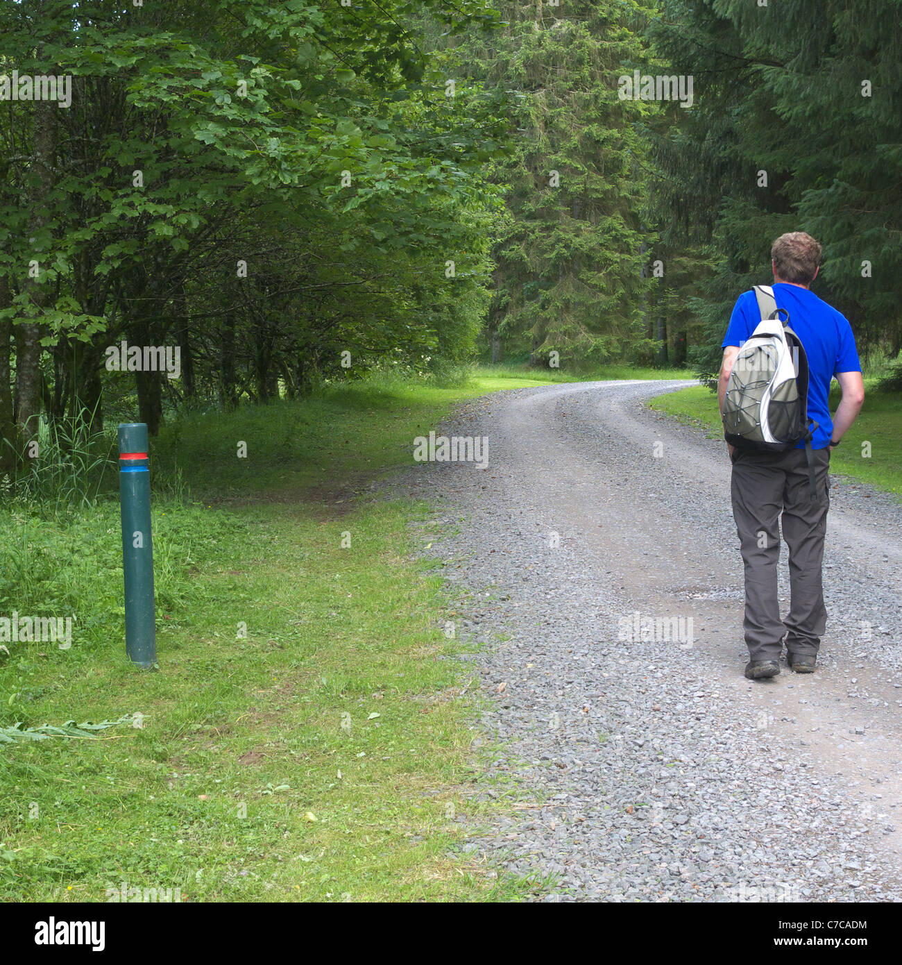 Scottish forests walker hi-res stock photography and images - Alamy