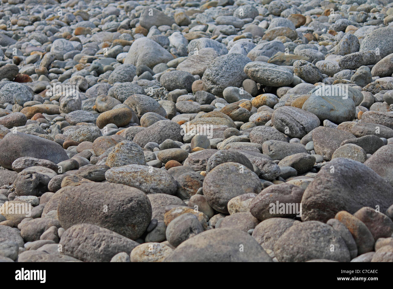 Pebbles on the river bed, Noa-Dehing river, Namdapha, Arunachal Pradesh ...