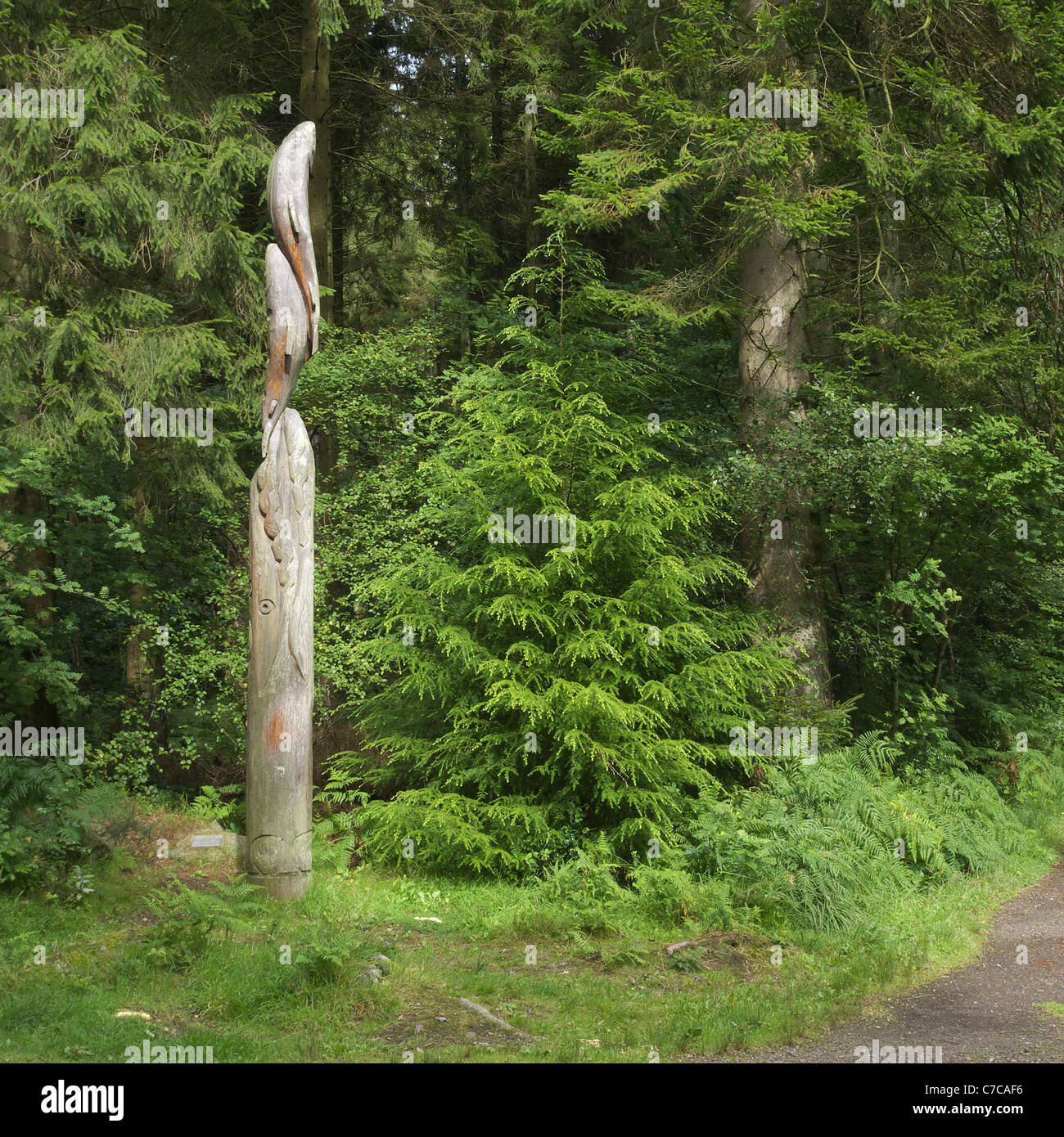 Totem poles in woodland hi-res stock photography and images - Alamy