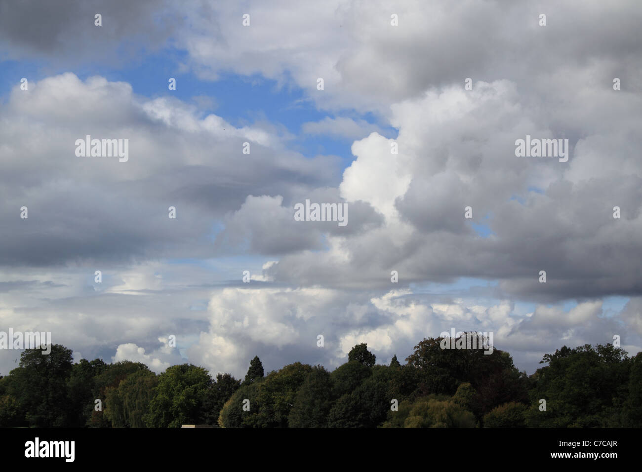 Skyline over treetops, surreal clouds of different densities and shades ...