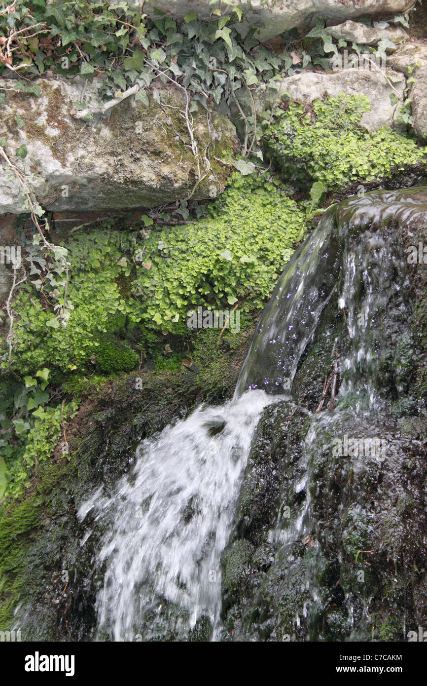 Small waterfall flowing down rocks in a park Stock Photo - Alamy