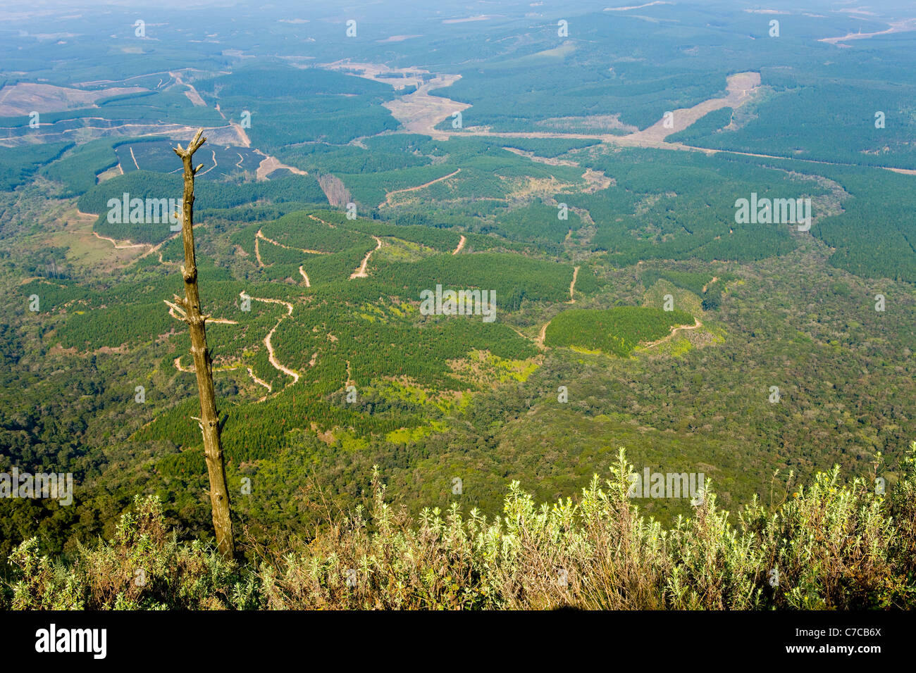 Transvaal drakensberg hi-res stock photography and images - Alamy