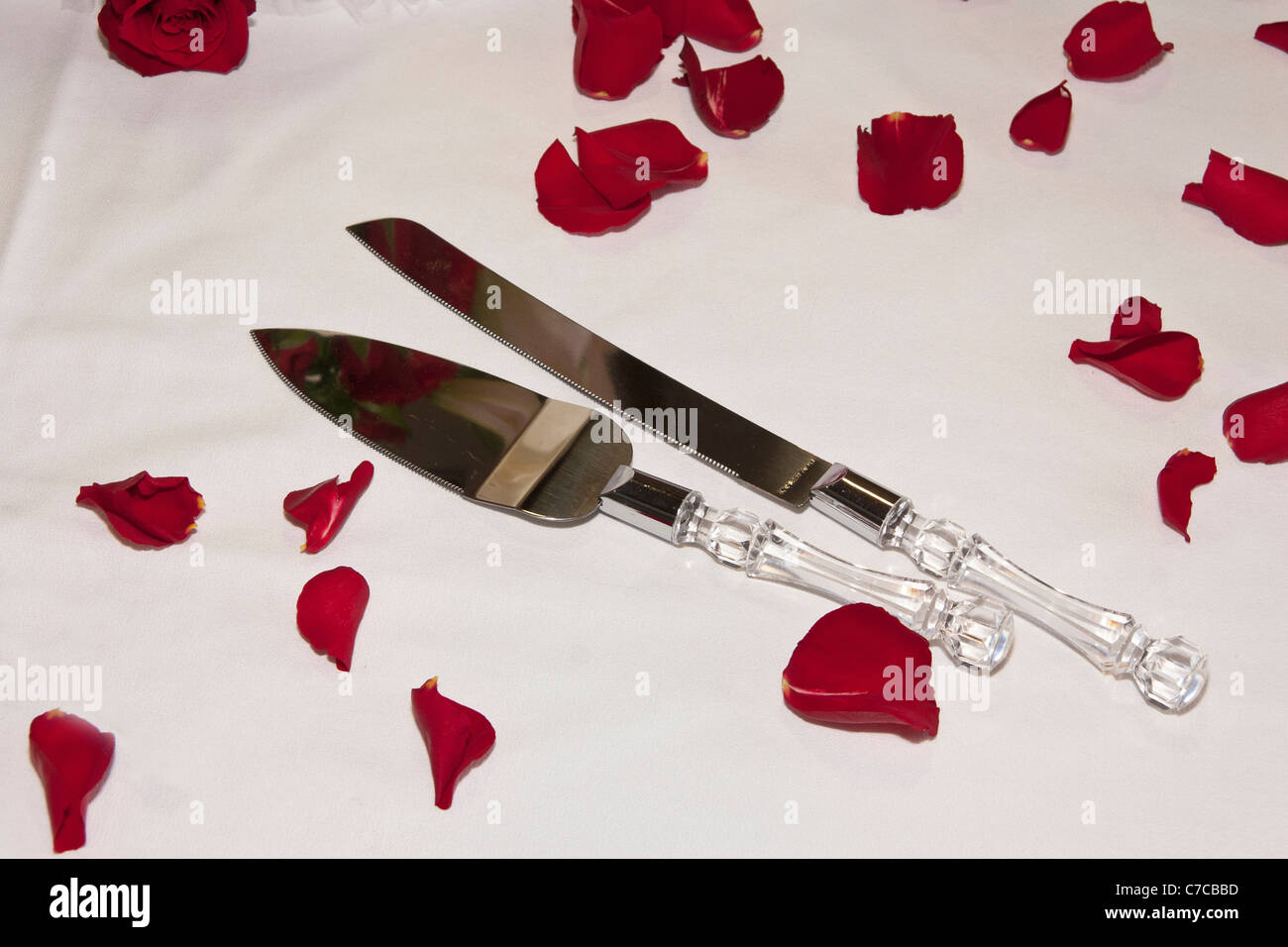 Stainless steel knife and server set with glass handles and red roses ...