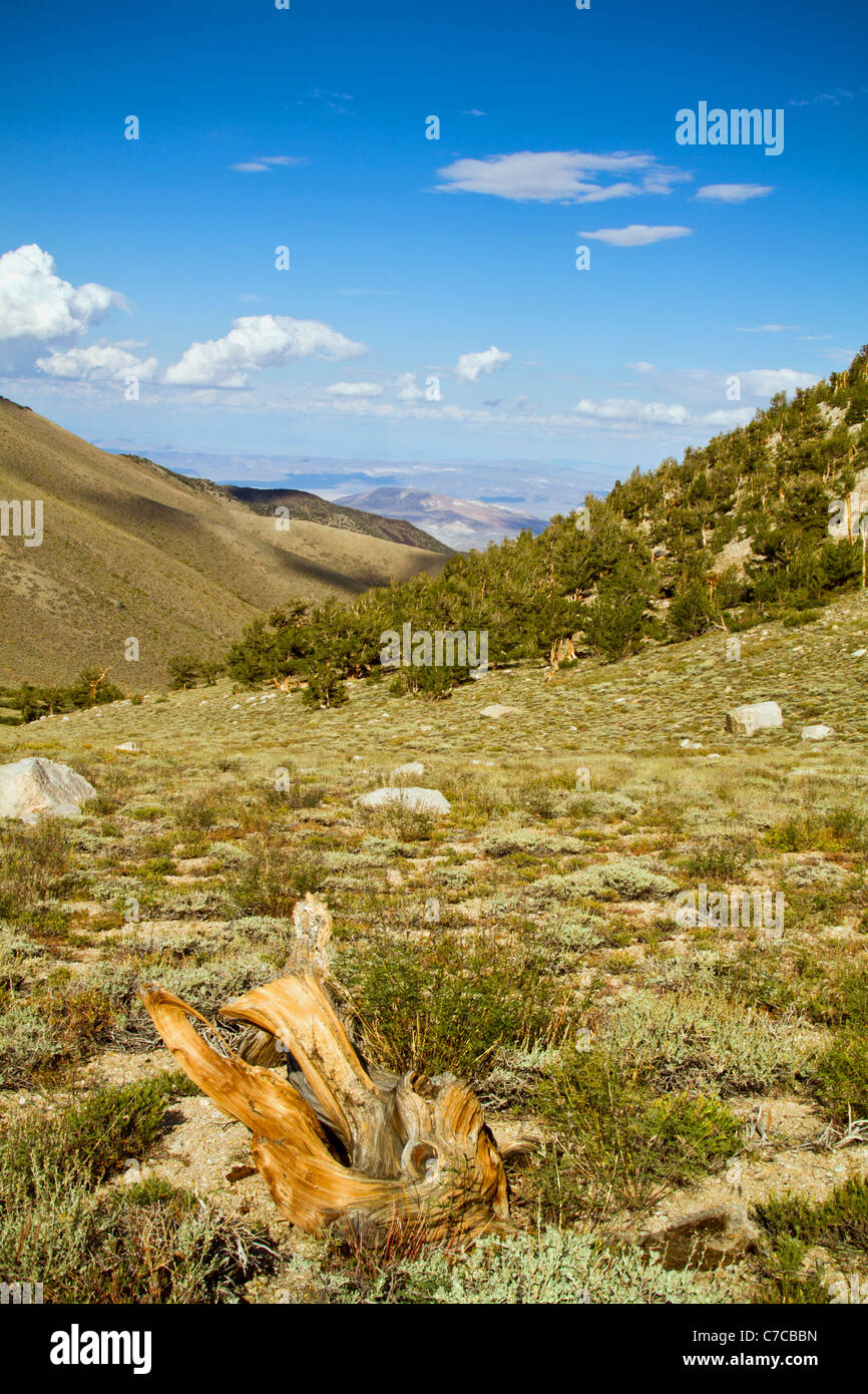 Boundary peak hi-res stock photography and images - Alamy