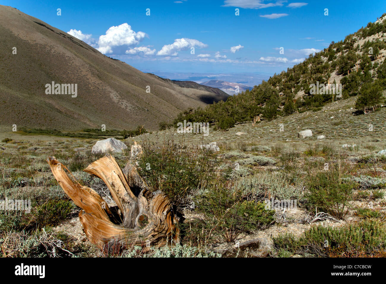 Boundary peak hi-res stock photography and images - Alamy Boundary peak hi-res stock photography and images - Alamy