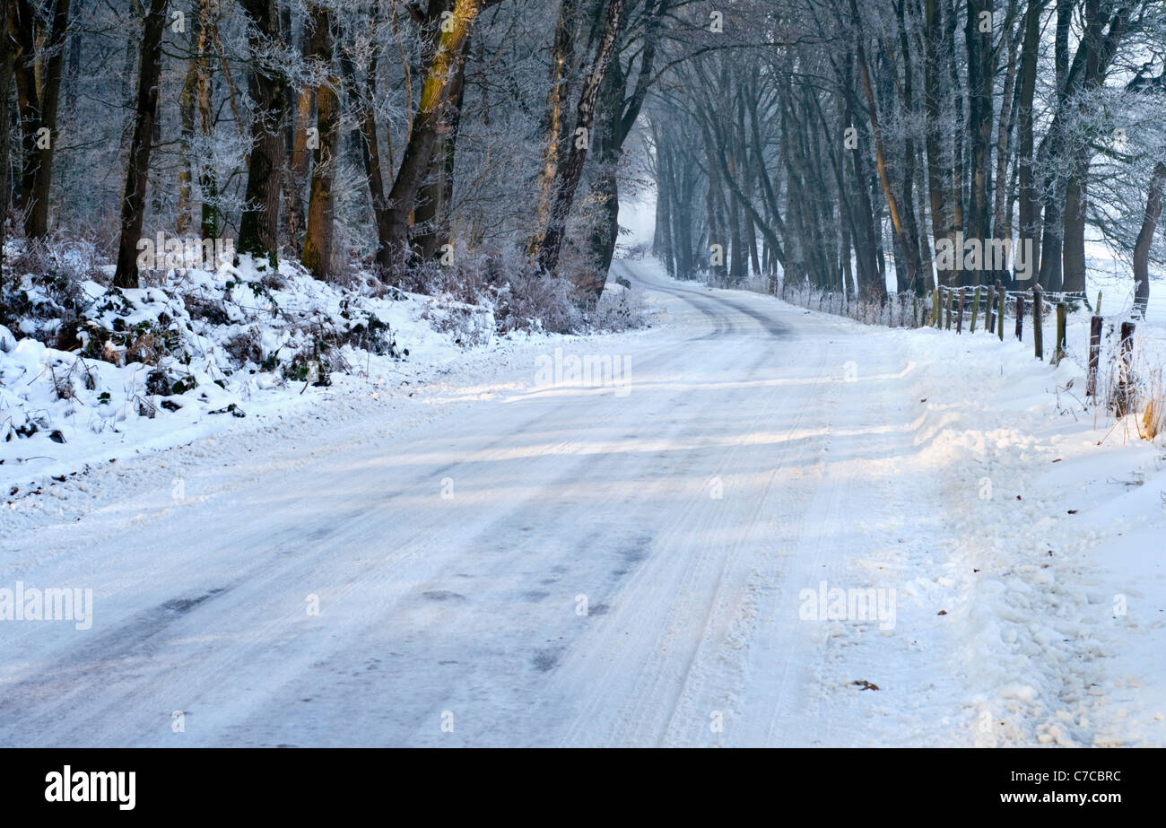 Snow covered trees road hi-res stock photography and images - Alamy