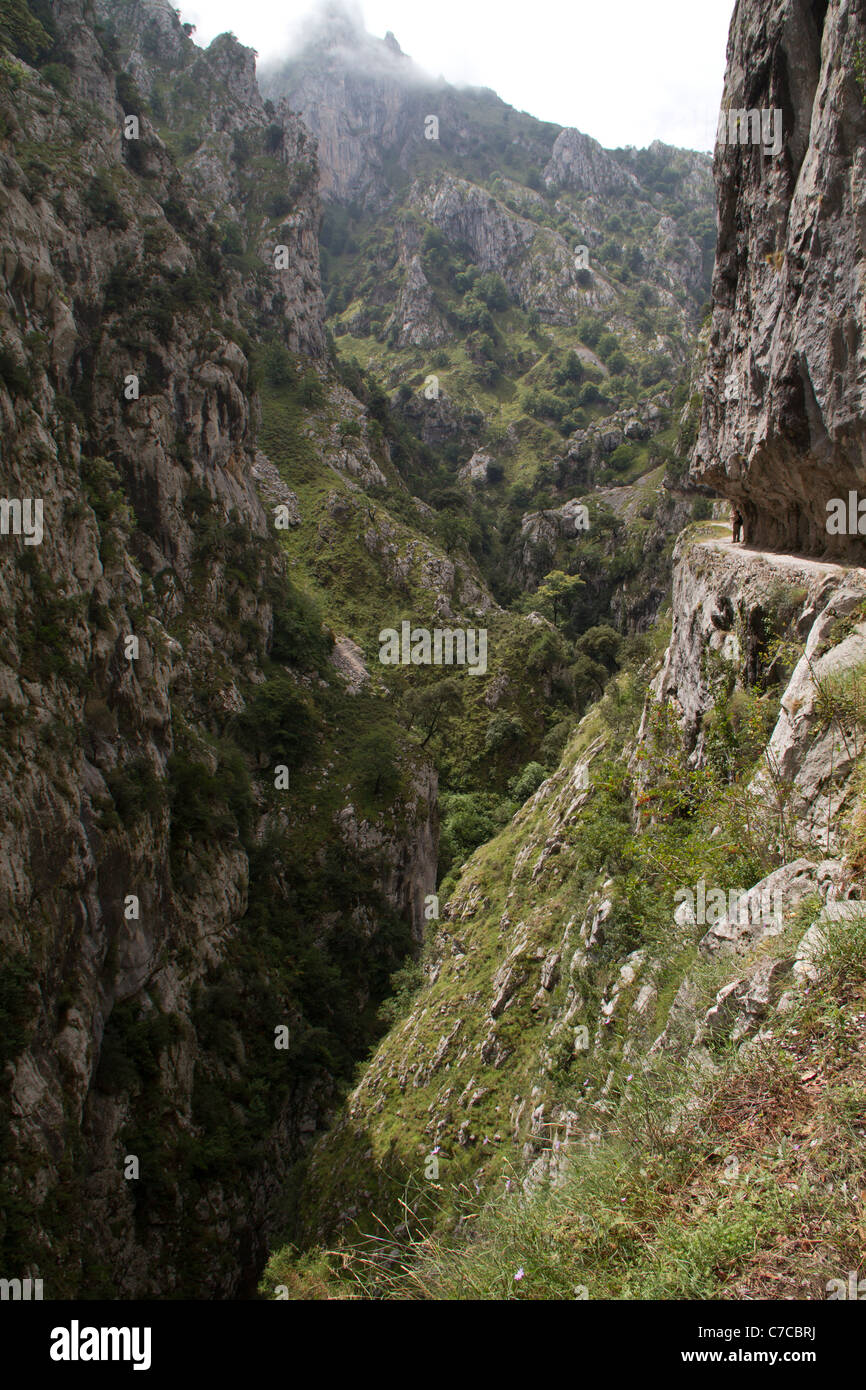 The Cares gorge in the Picos de Europa, Spain Stock Photo - Alamy