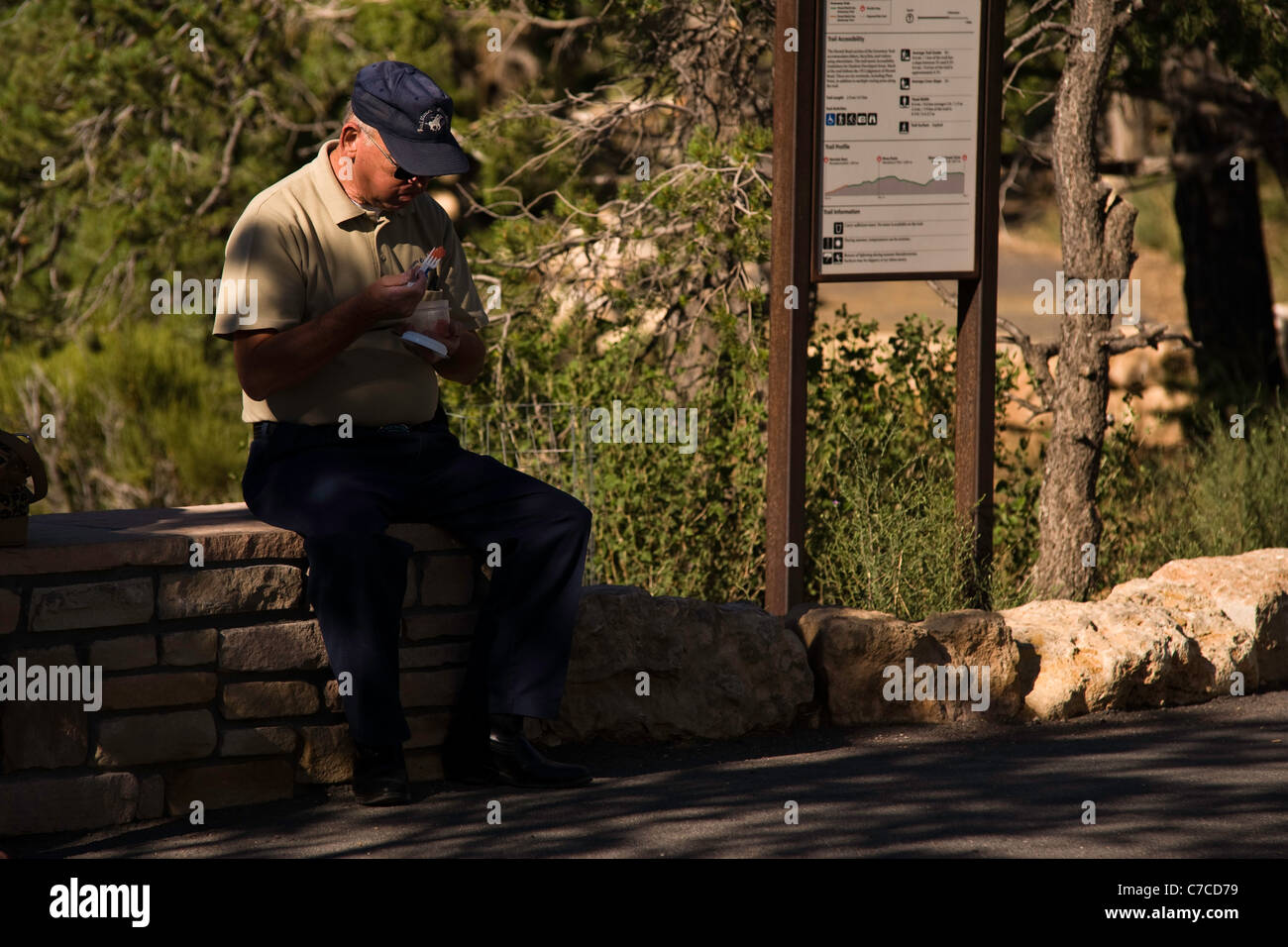 A man (bus driver) in lunch break pause Grand Canyon Arizona USA Stock ...