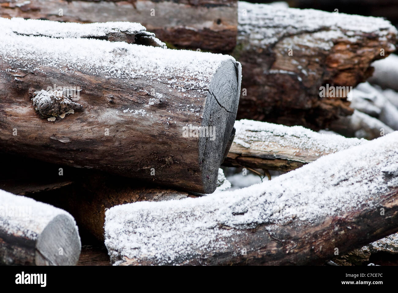 Log Pile with Winter Frost and snow Stock Photo - Alamy