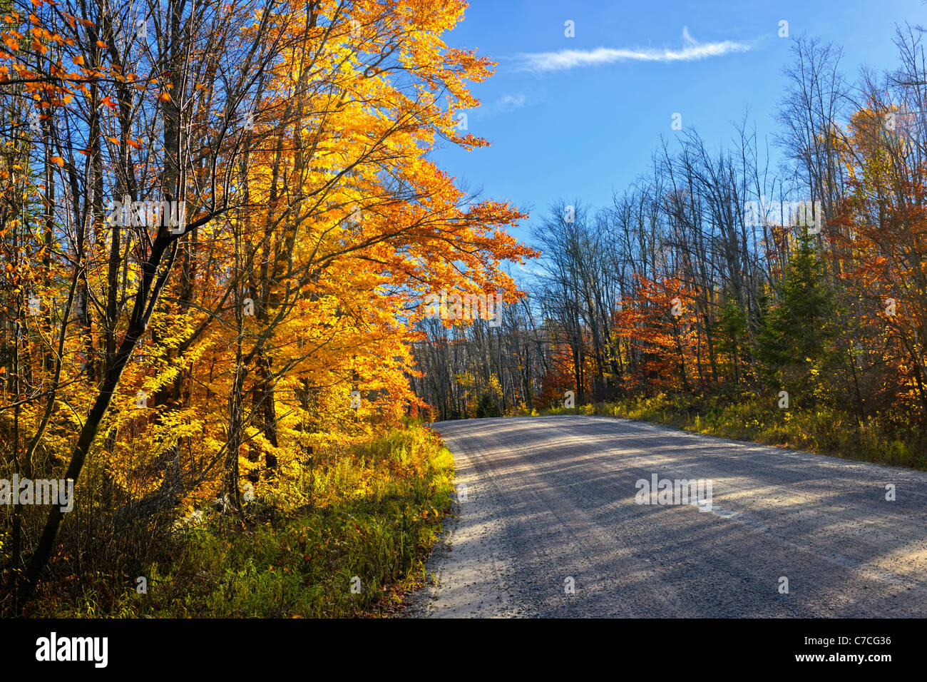 Canada road forest hi-res stock photography and images - Alamy