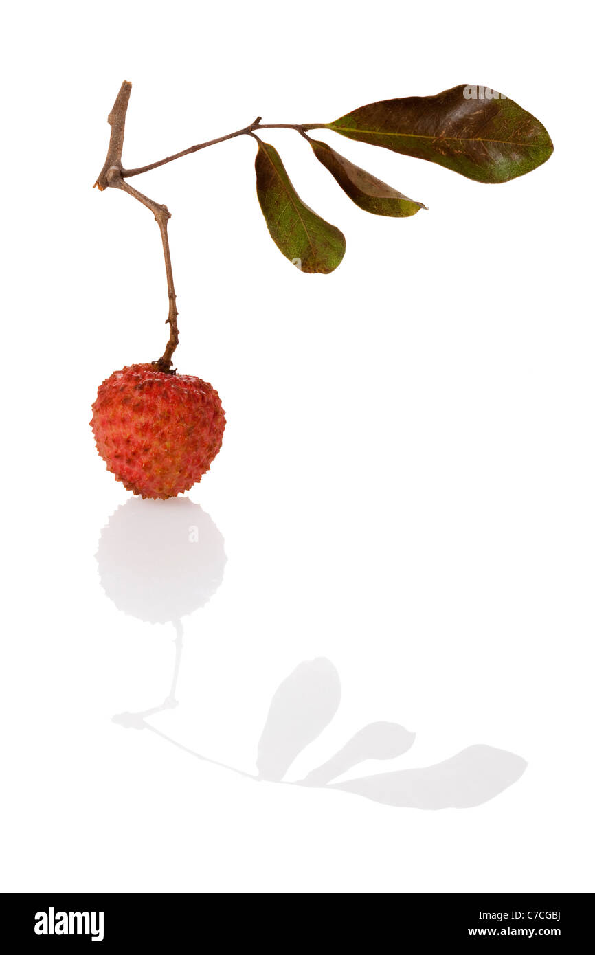 Lychee fruit no background Cut Out Stock Images & Pictures - Alamy