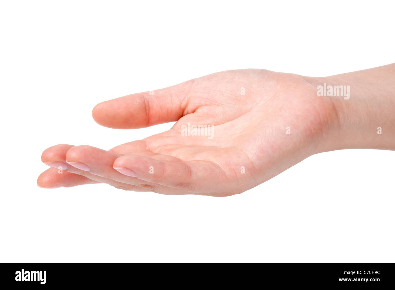 Woman's Hand, Studio Shot Stock Photo - Alamy
