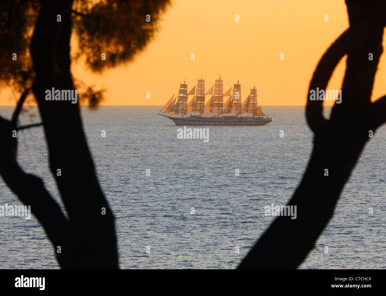 sailing ship, sunset, tree, orange, sea, traveling Stock Photo - Alamy