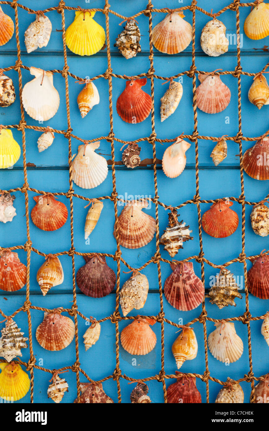 Shell decoration hi-res stock photography and images - Alamy