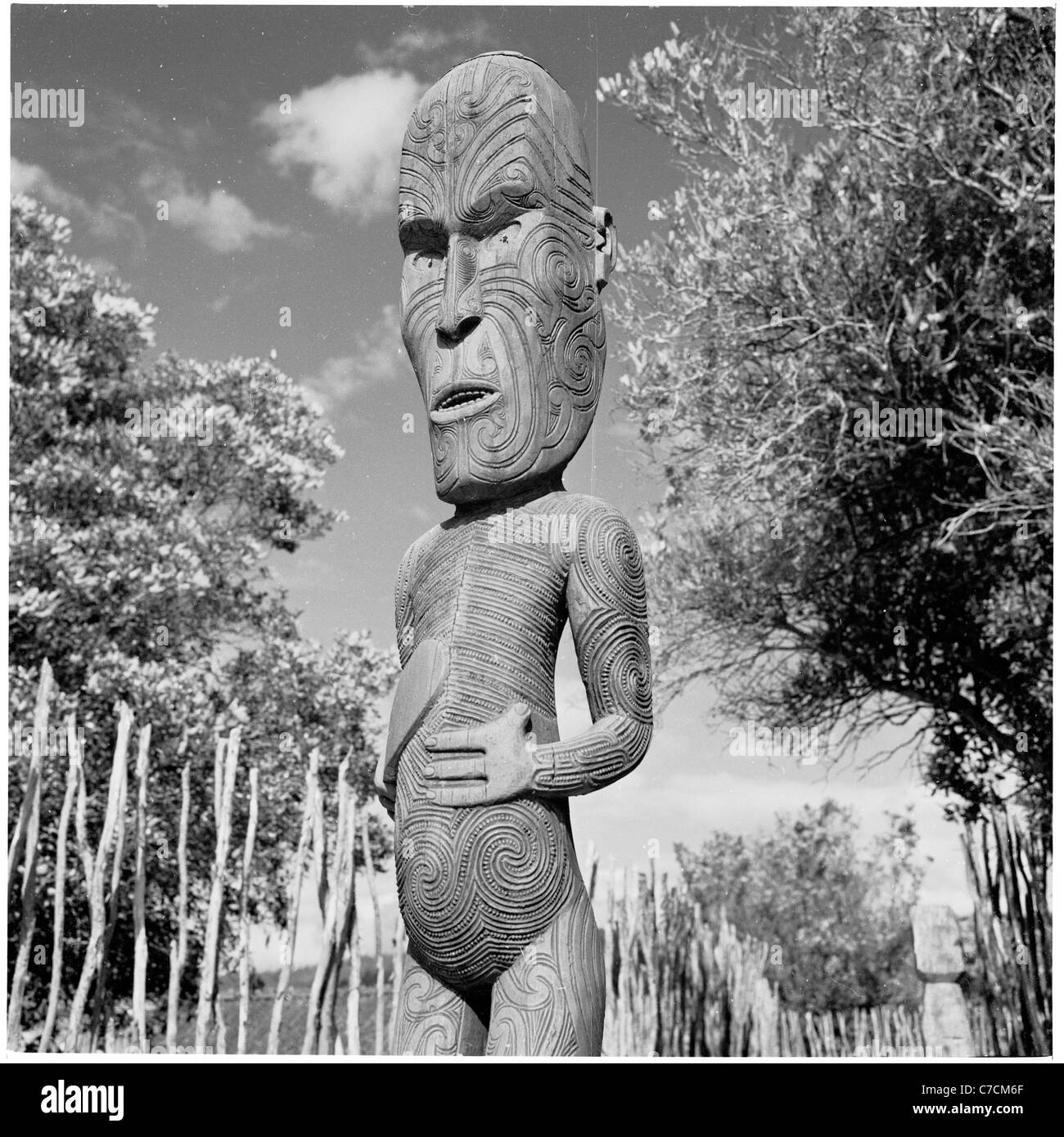 New Zealand, 1950s. A carved wooden Maori statue resides at a national ...