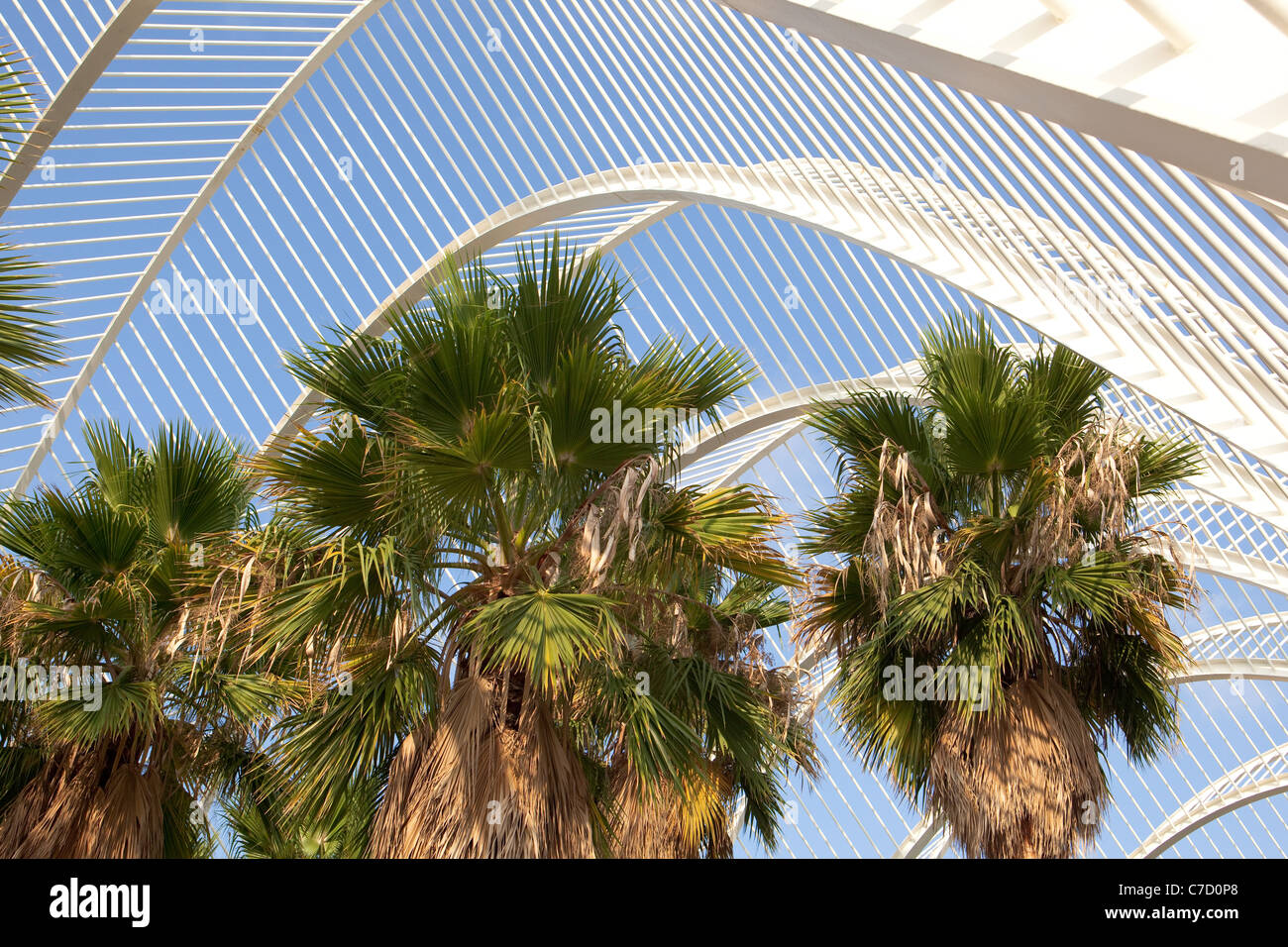 L’umbracle terraza valencia hi-res stock photography and images - Alamy