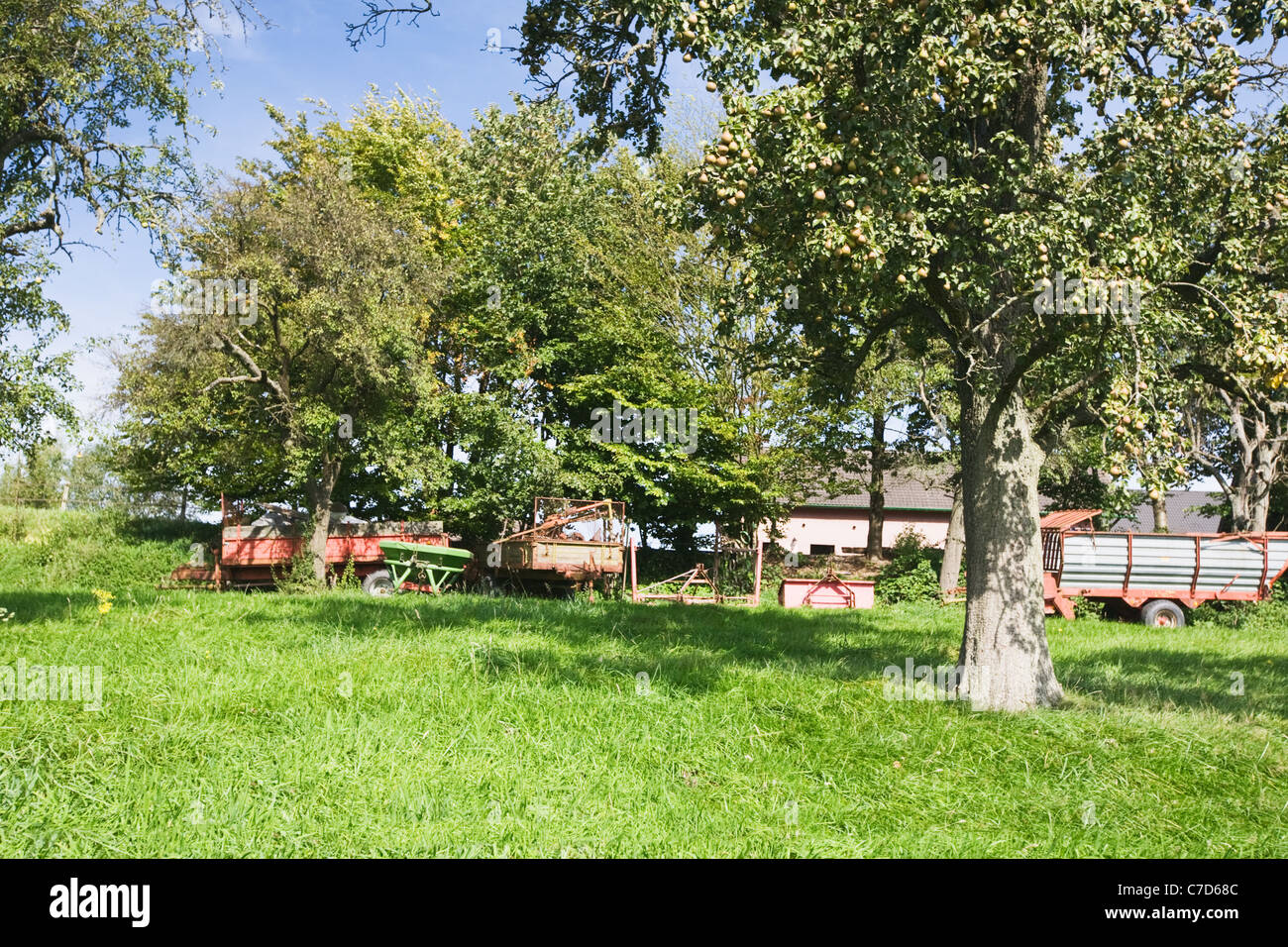 Pear tree and agricultural equipment at the farm Stock Photo - Alamy