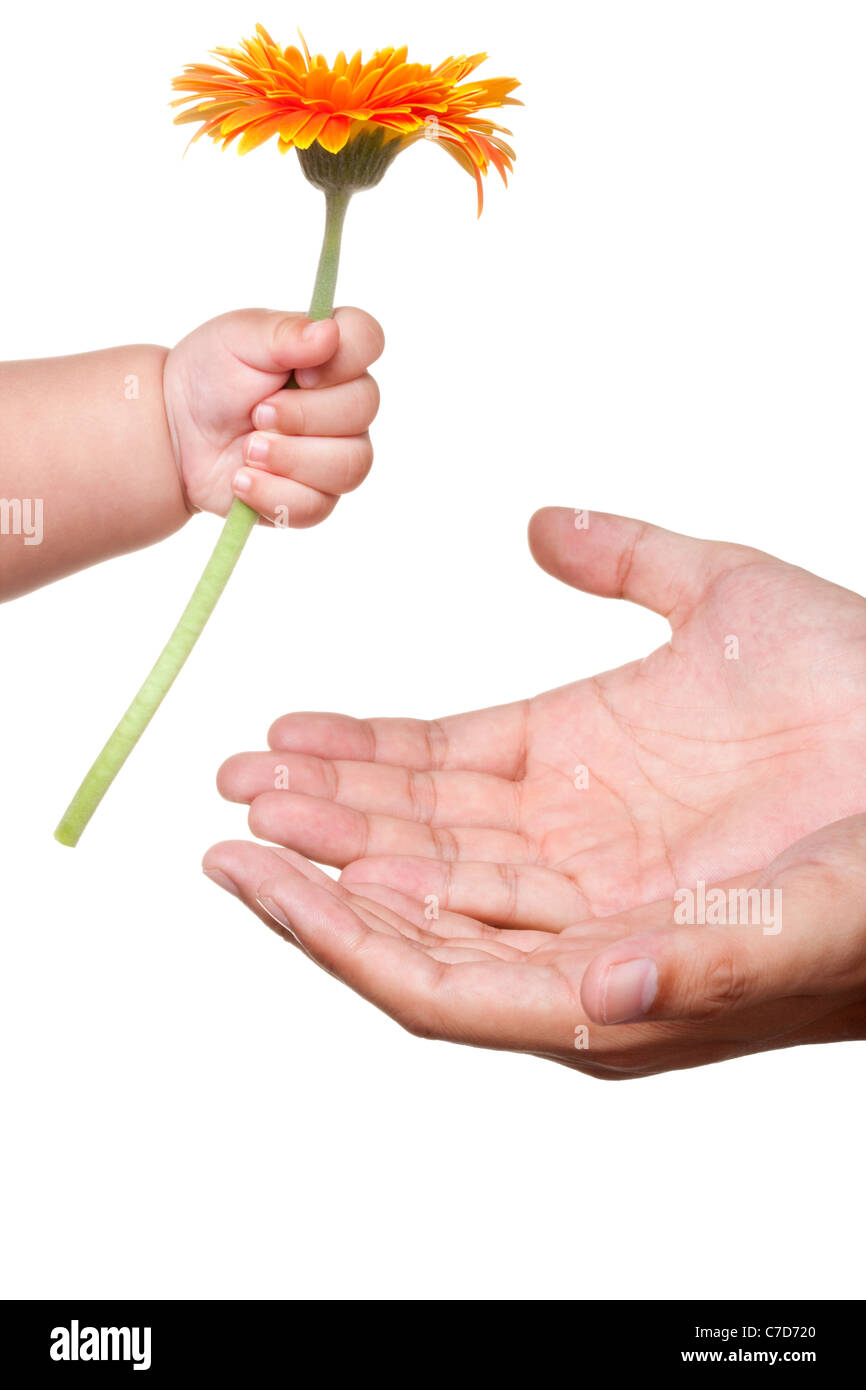 Baby Giving Father a Flower Stock Photo - Alamy