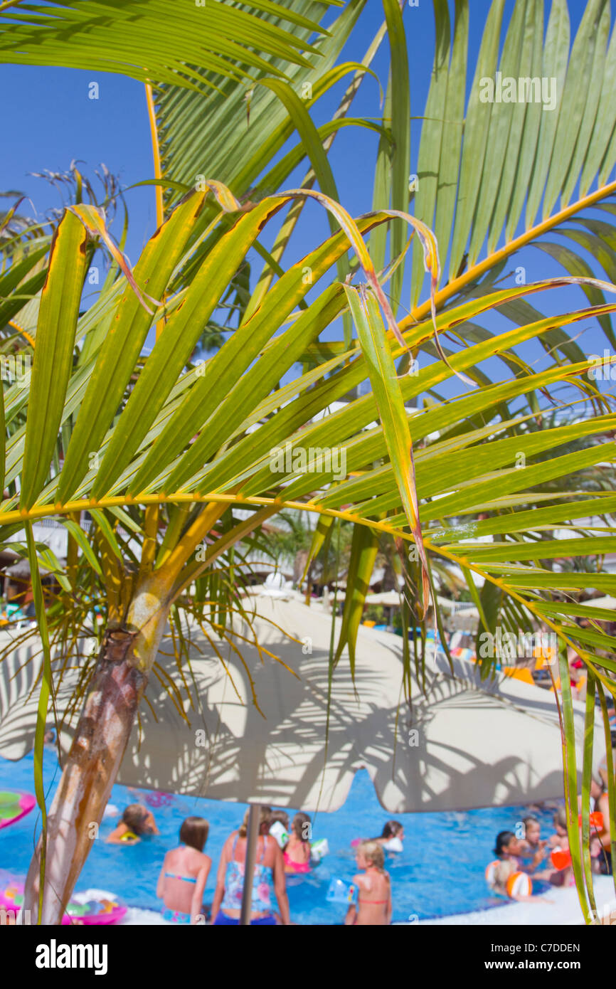 Crowded swimming pool hi-res stock photography and images - Alamy