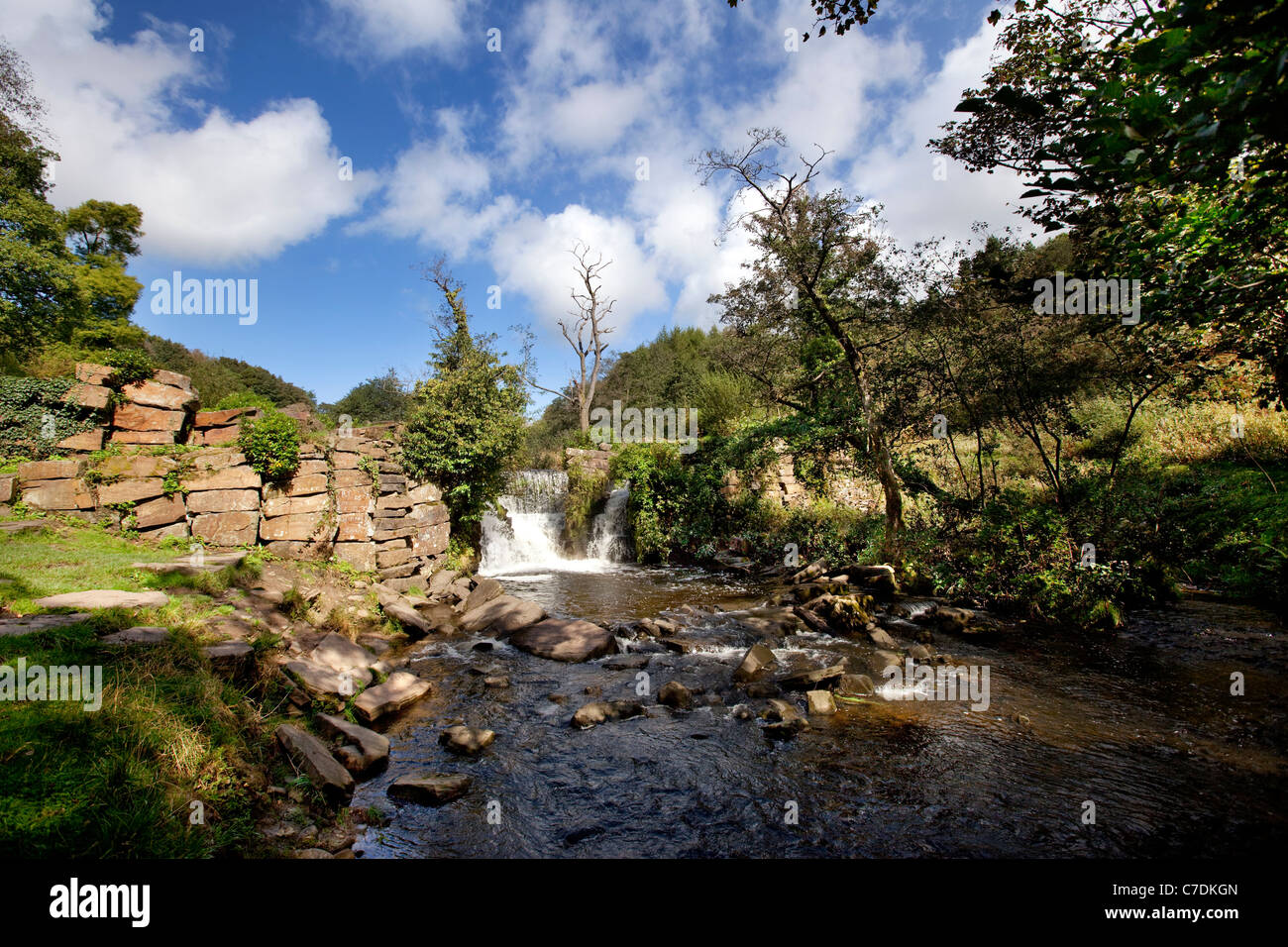 Stepped Gardens High Resolution Stock Photography and Images - Alamy