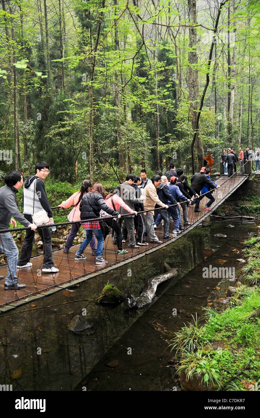 Tourists on Swing Bridge, Golden Whip Stream, Wulingyuan National ...