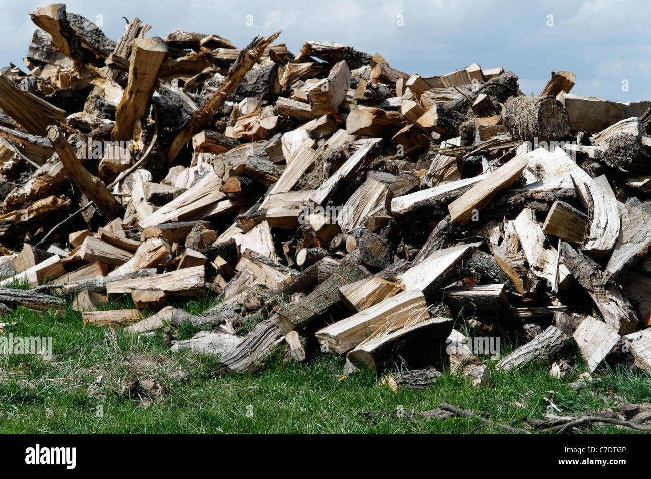 Logs from the slaughter of old perry pear and old apple cider ...