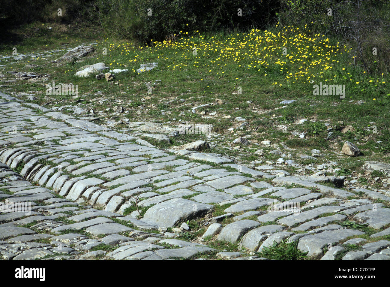 Ambrussum hi-res stock photography and images - Alamy