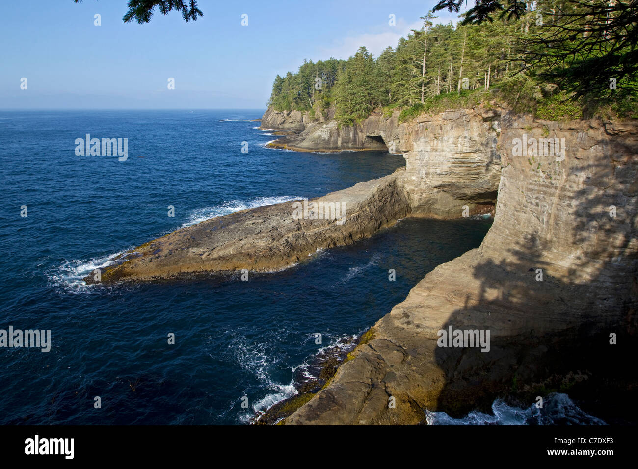 Rocky cliff coast on Olympic National Park shoreline, Olympic Peninsula ...
