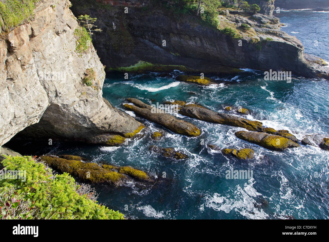 Rocky cliff coast on Olympic National Park shoreline, Olympic Peninsula ...