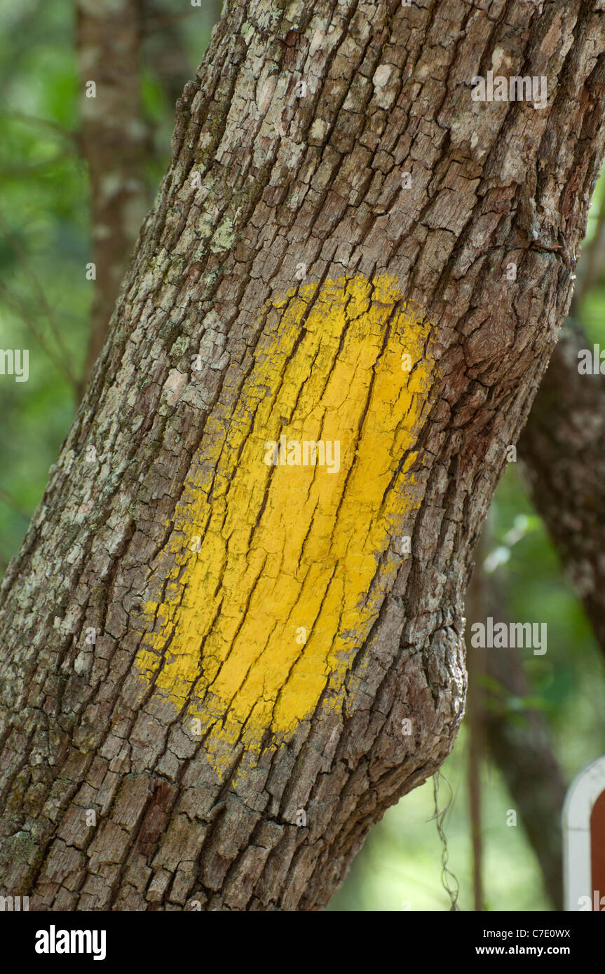 Blazes paths pathways pathway hi-res stock photography and images - Alamy