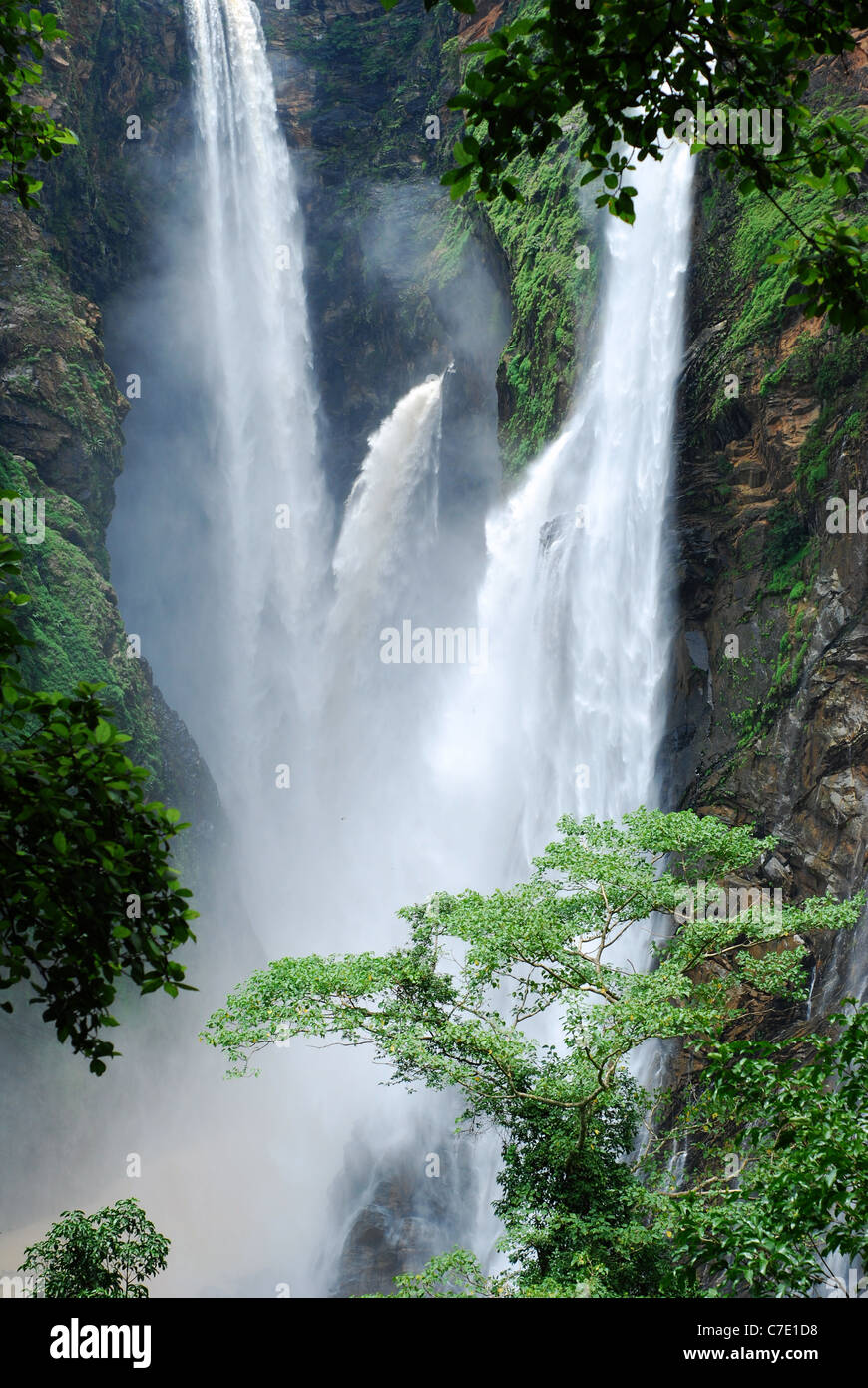 Jog Falls Height 61 Jog Falls Karnataka Stock Photos, High Res