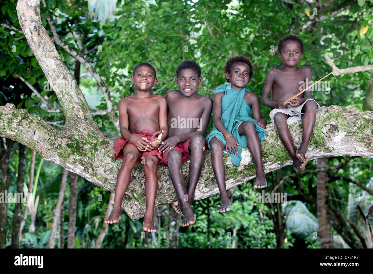 Boys siting on a trunk of a tree, Bougainville Island, Papua New Guinea ...