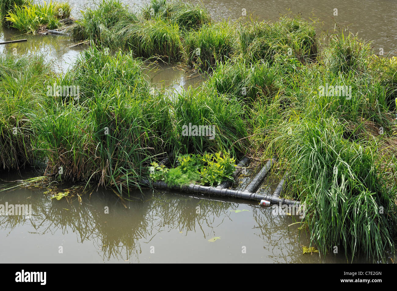 Artificial nesting islands hi-res stock photography and images - Alamy