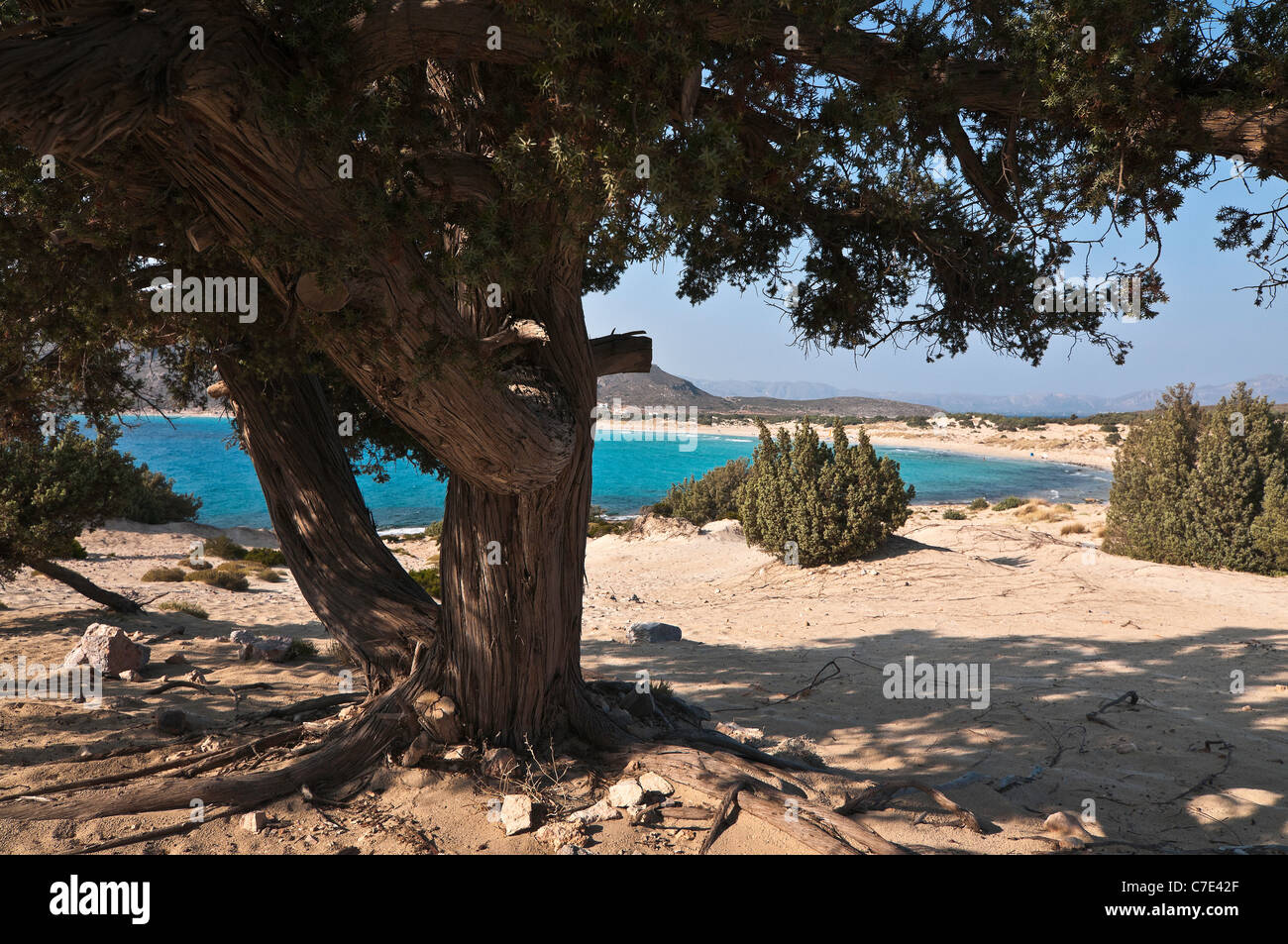 Simos beach on the island of Elafonissos, Lakonia, Peloponnese, Greece ...