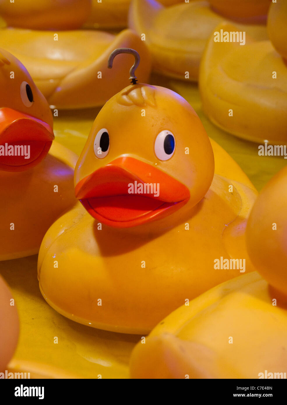 Hook a duck at Goose Fair, Nottingham England UK Stock Photo - Alamy