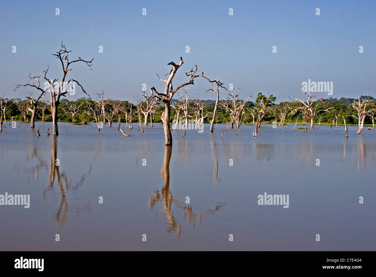 Landscape in Yala National Park Sri Lanka Stock Photo - Alamy