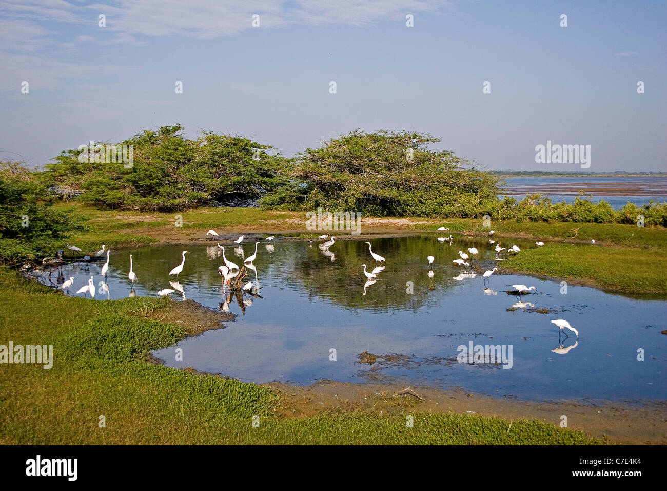 Bundala National Park