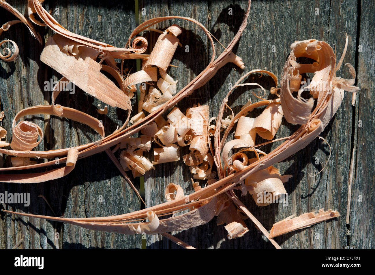 Curled hi-res stock photography and images - Alamy