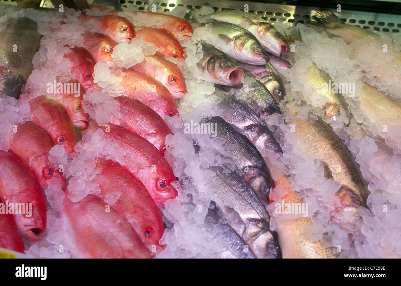 Various fish on ice Stock Photo - Alamy