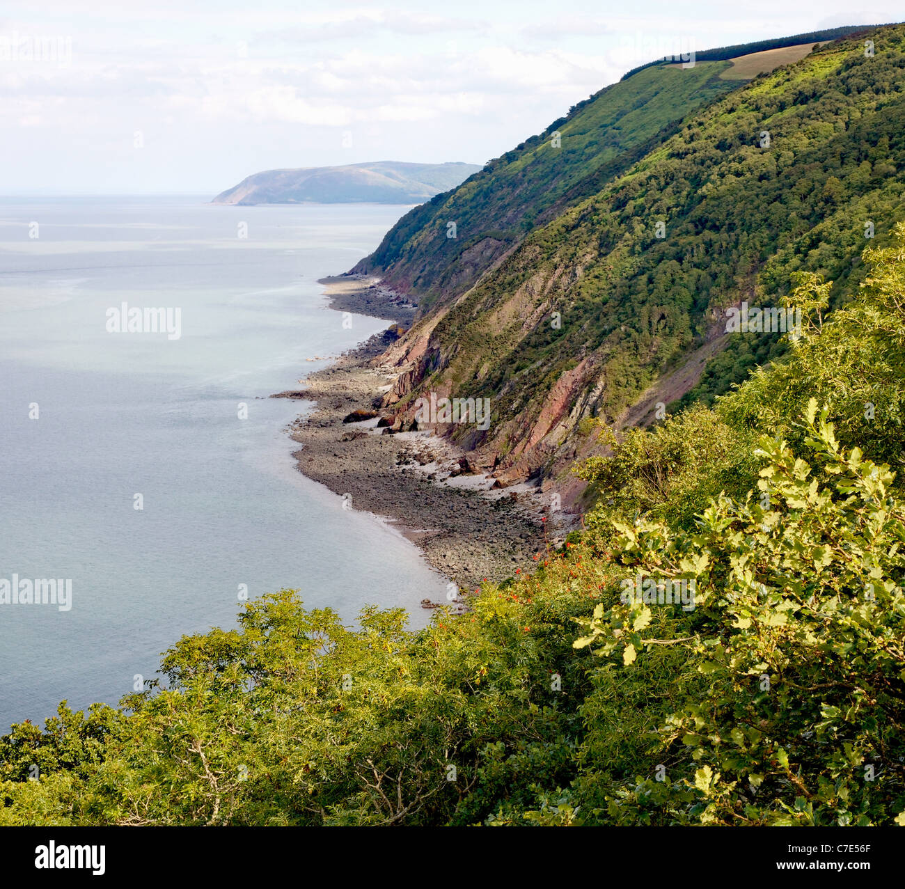 Steep wooded cliffs on Exmoor in Devon looking from above Foreland ...