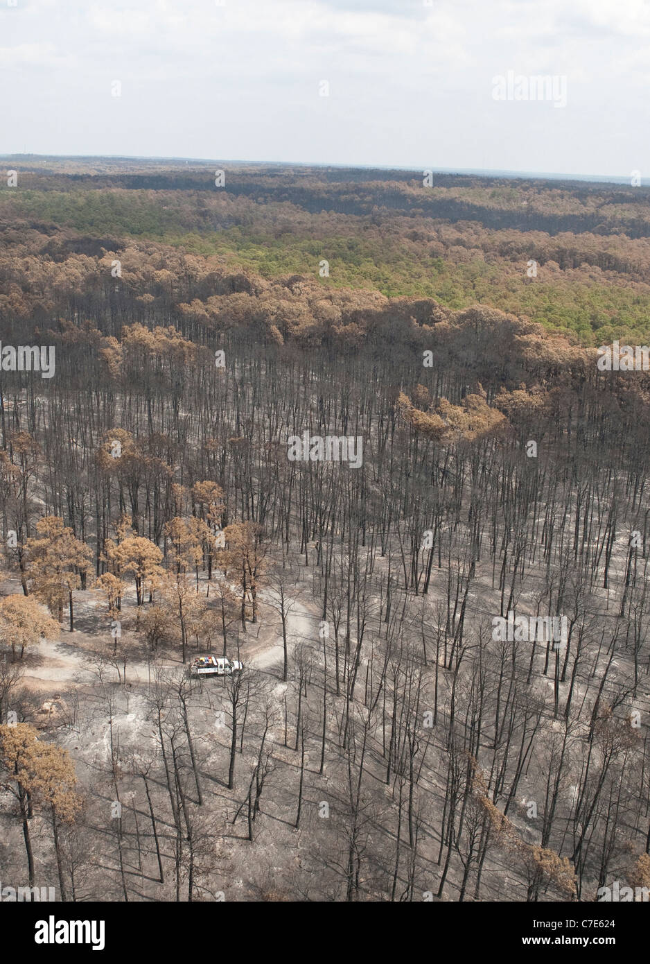 Lost of trees hi-res stock photography and images - Alamy
