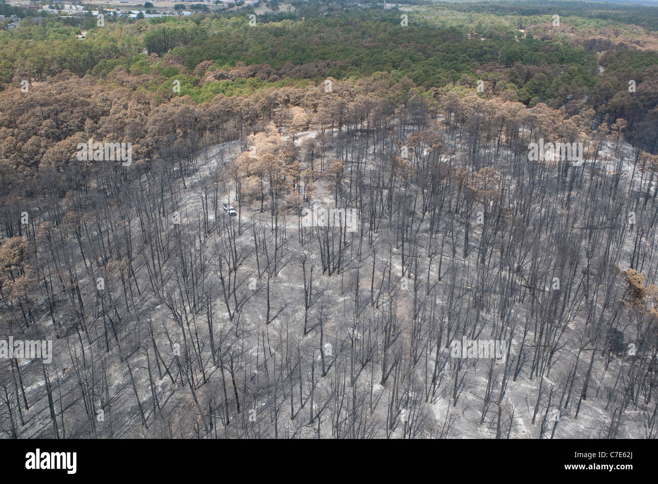 Aerial view of forest in Lost Pines State Park damaged by wildfires ...