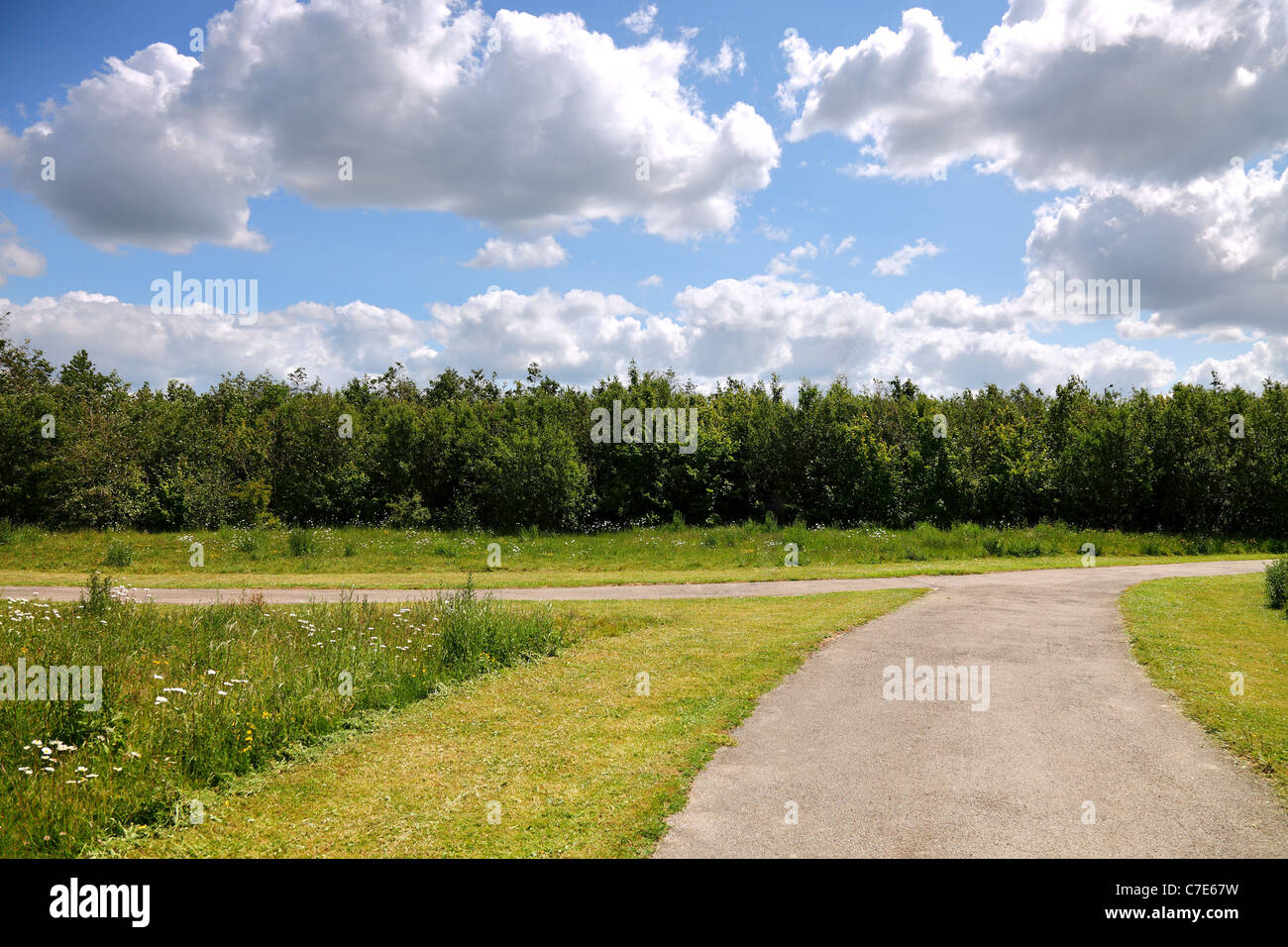 Park Bike Path Stock Photo - Alamy